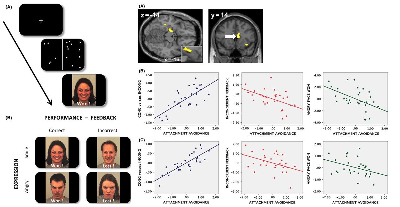 The Neural Substrates of Attachment in Adolescents – Dr Pascal Vrticka ...