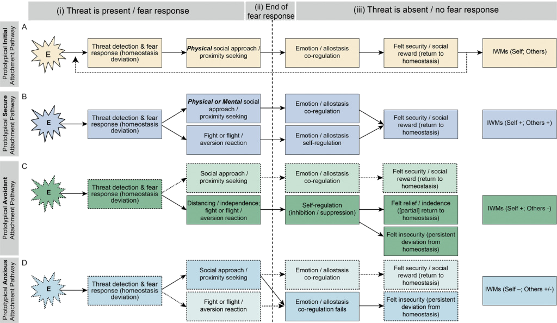 Functional Neuro-Anatomical Models of Human Attachment (NAMA & NAMDA ...