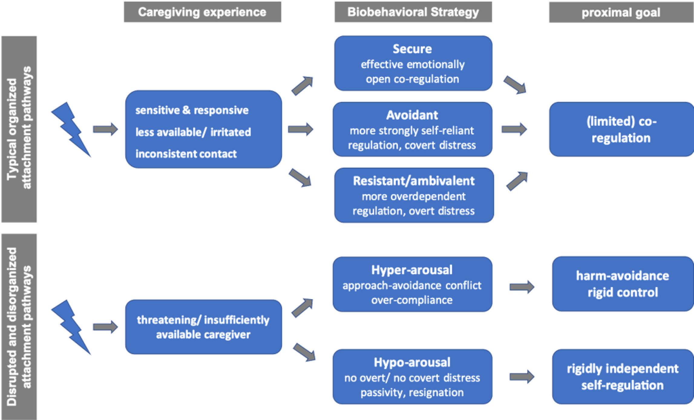 Functional Neuro-Anatomical Models of Human Attachment (NAMA & NAMDA ...