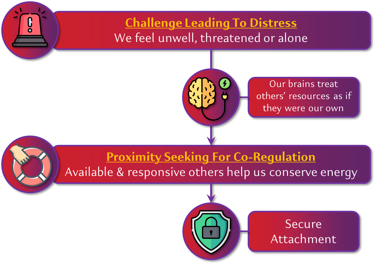 Is your brain securely attached? A social neuroscience perspective on ...