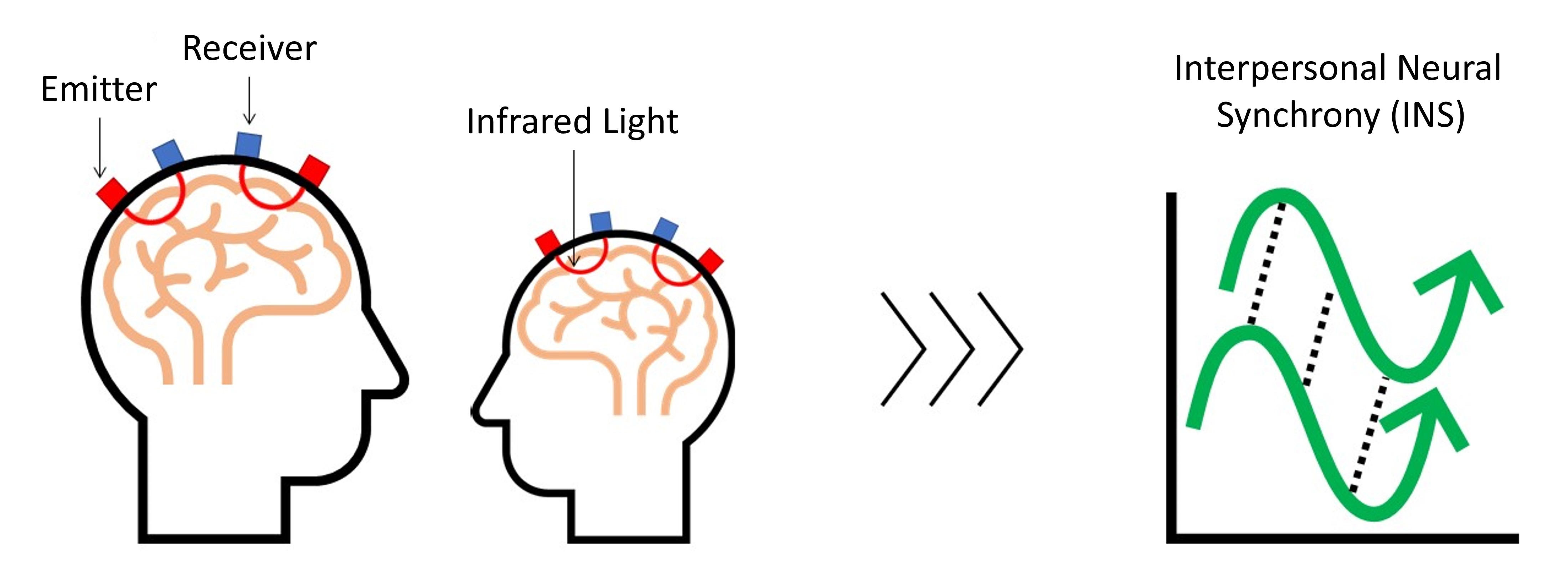 fNIRS Hyperscanning – An Introduction – Dr Pascal Vrticka (PhD, FHEA)